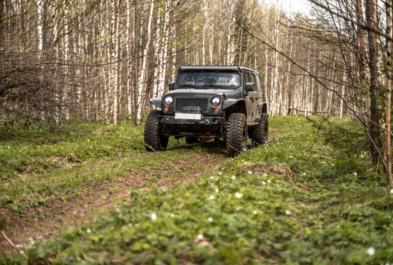 Trail Rated and City Ready: How to Choose the Right Jeep for Your ...